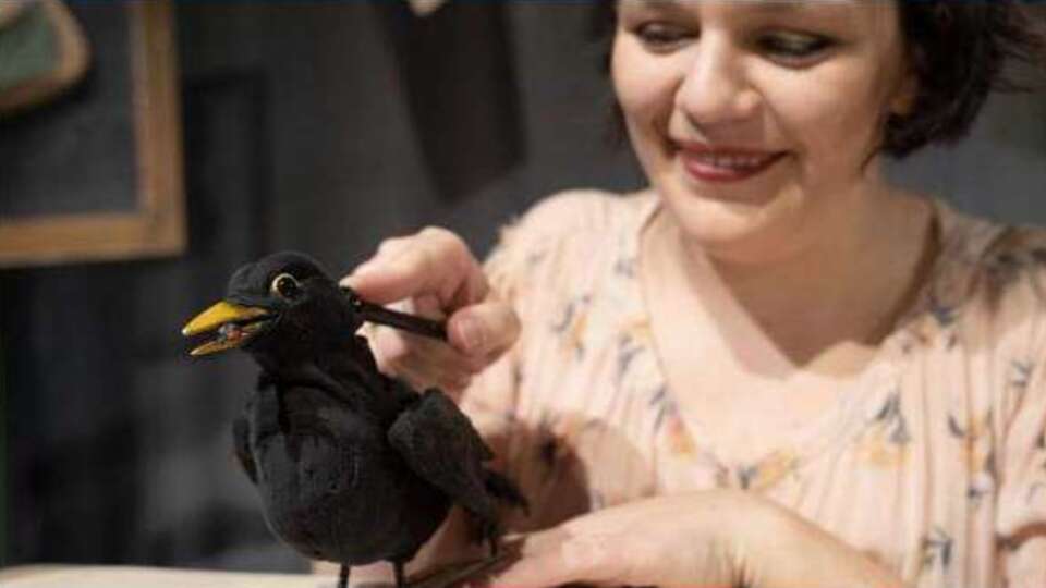 Frau Meier, die Amsel