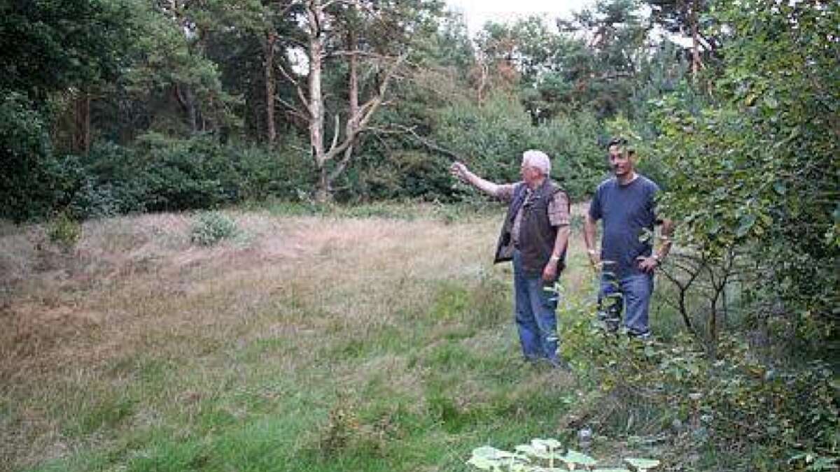 Rosengarten gleicht grünem Dschungel