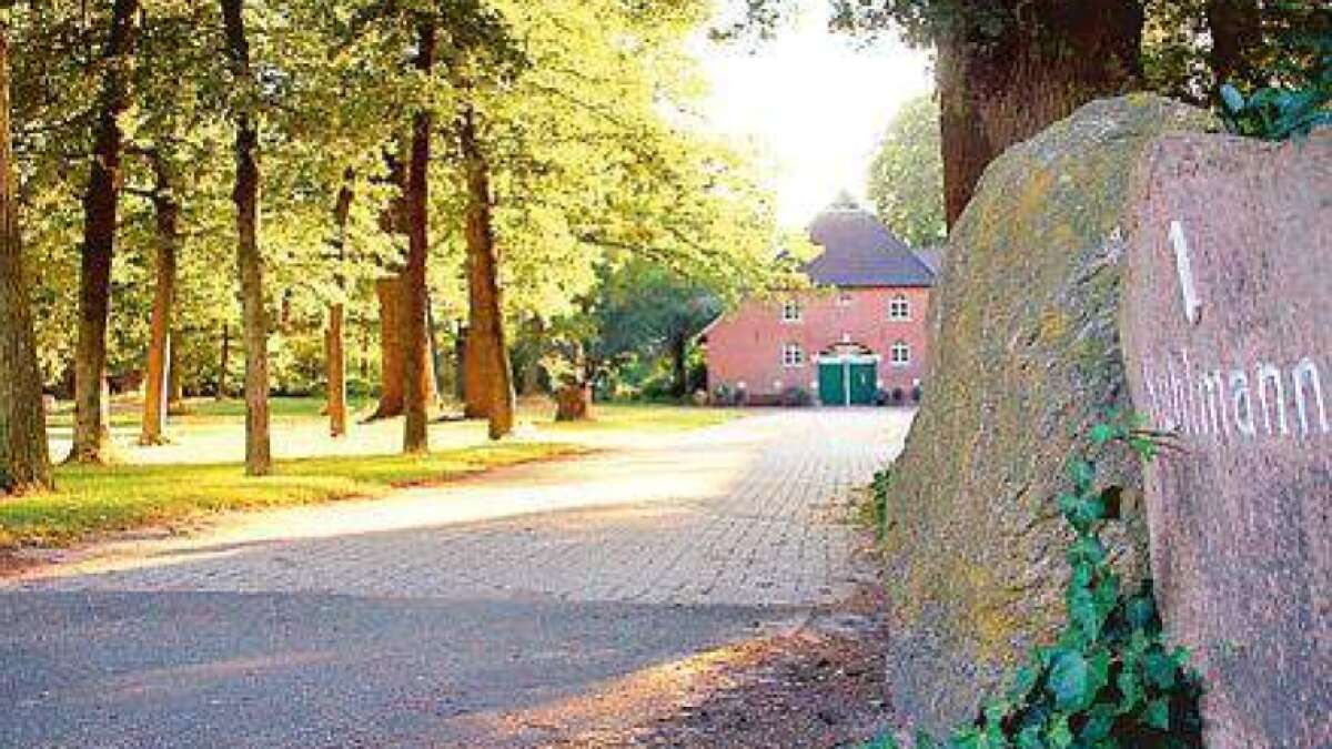 Romantik pur unter den Eichen