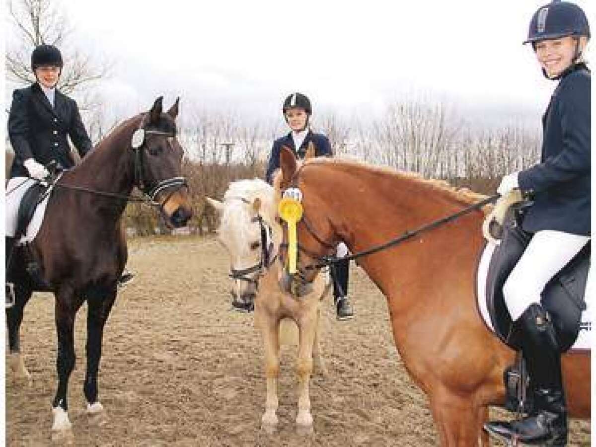 Freya Dreeke wird Vereinsmeisterin