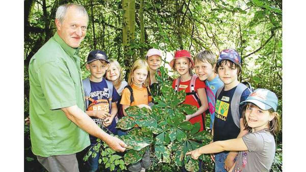 Wie fühlt sich wohl ein Wildschwein an?