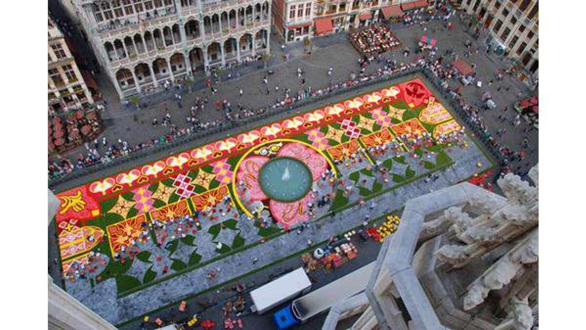 Brüssel rollt Blumenteppich aus