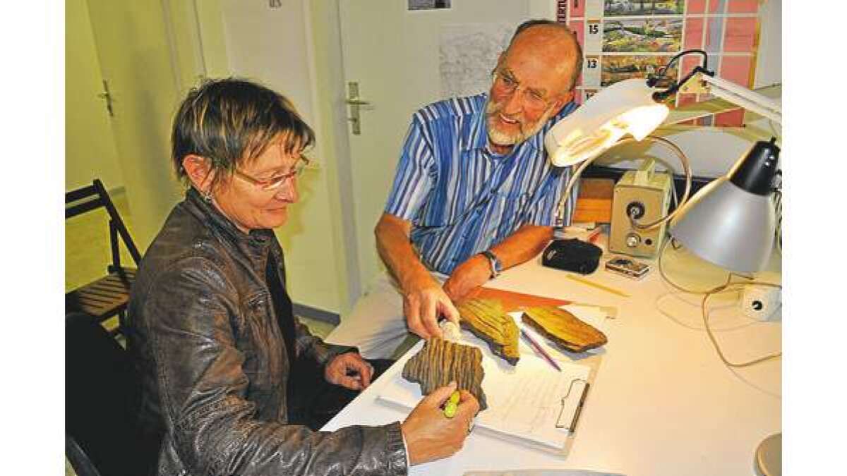 Fossilien und Gesteine unter die Lupe genommen