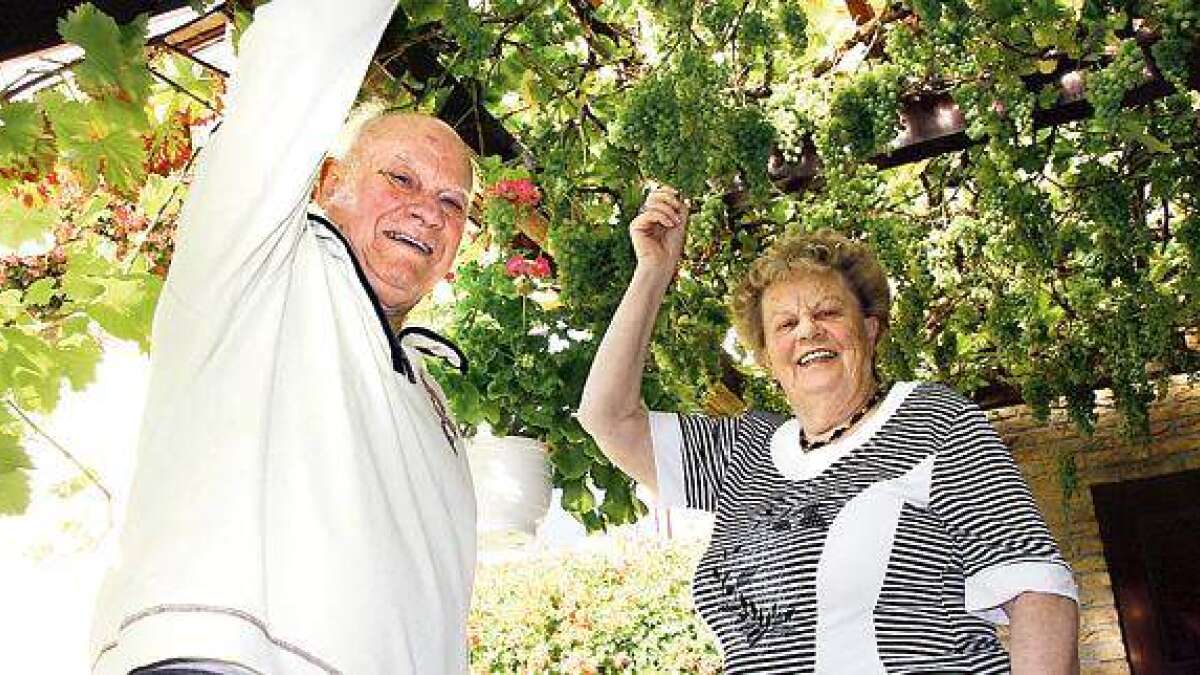 Ein Sonnenschutz aus Weintrauben