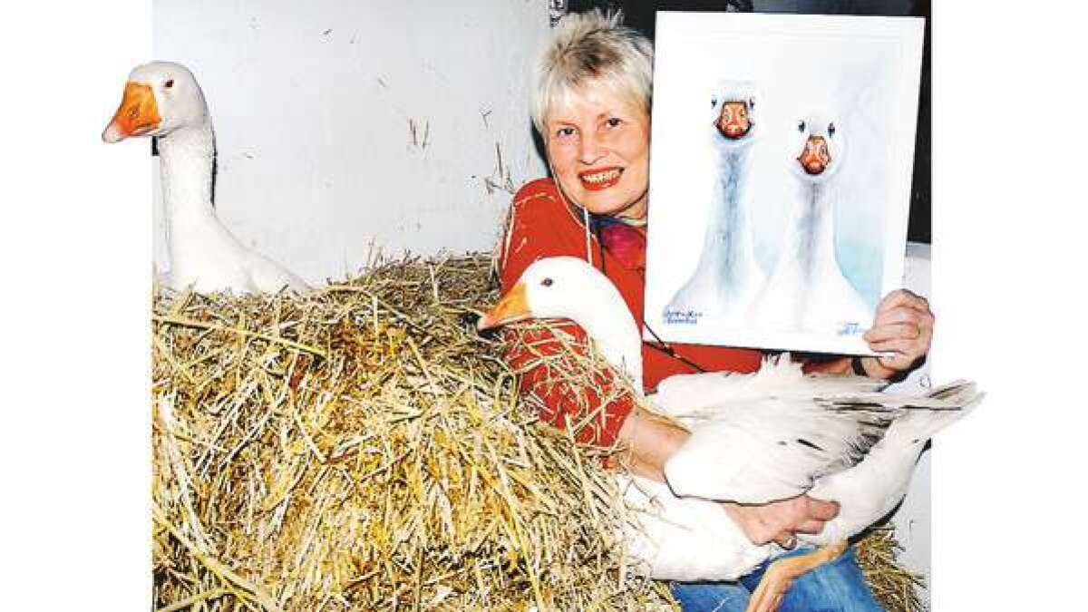 Gänse posthum mit ,Durchblick‘