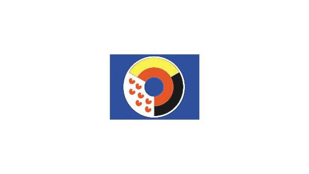 Friesische Flagge in Leer gehisst