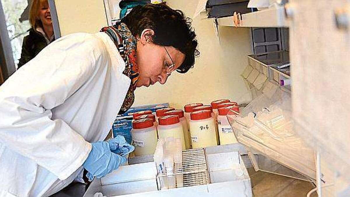 Prüfer legen Extra-Schichten ein