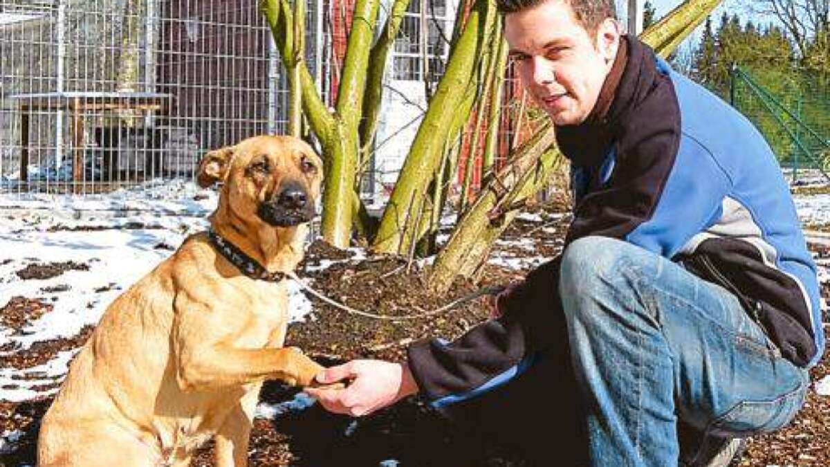 „Erziehung an beiden Enden der Leine“