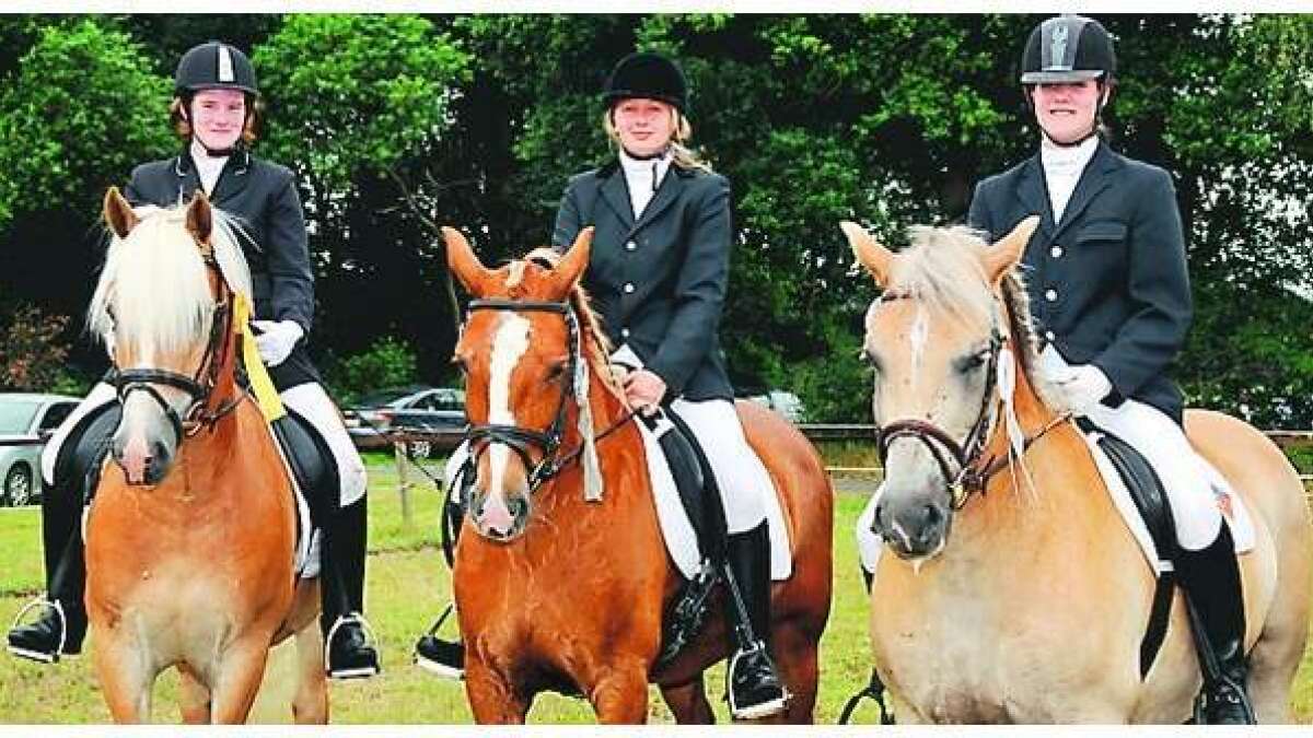 Lea Sibum gewinnt Wanderpokal der Haflinger