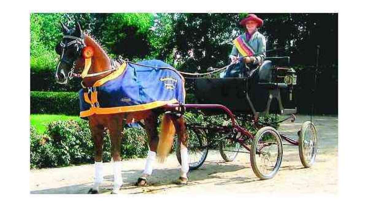 „Goldsegen“ im Hause Duen in Thüle