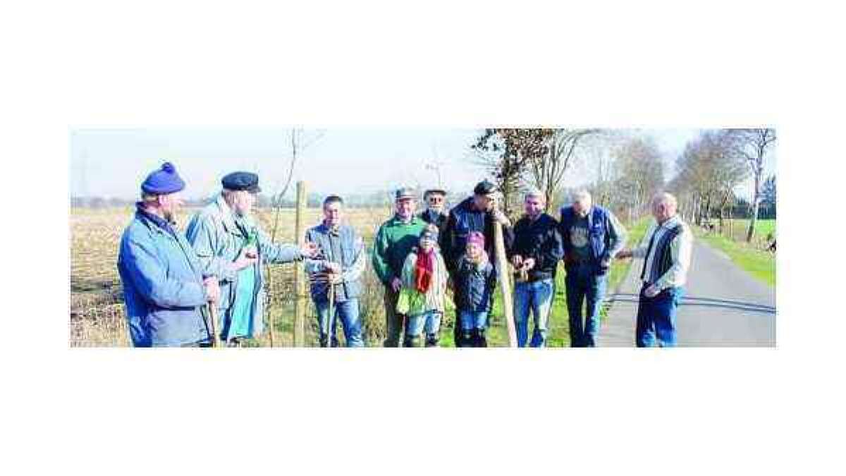 Nachbarn setzen Eichen am Sandkrugsweg