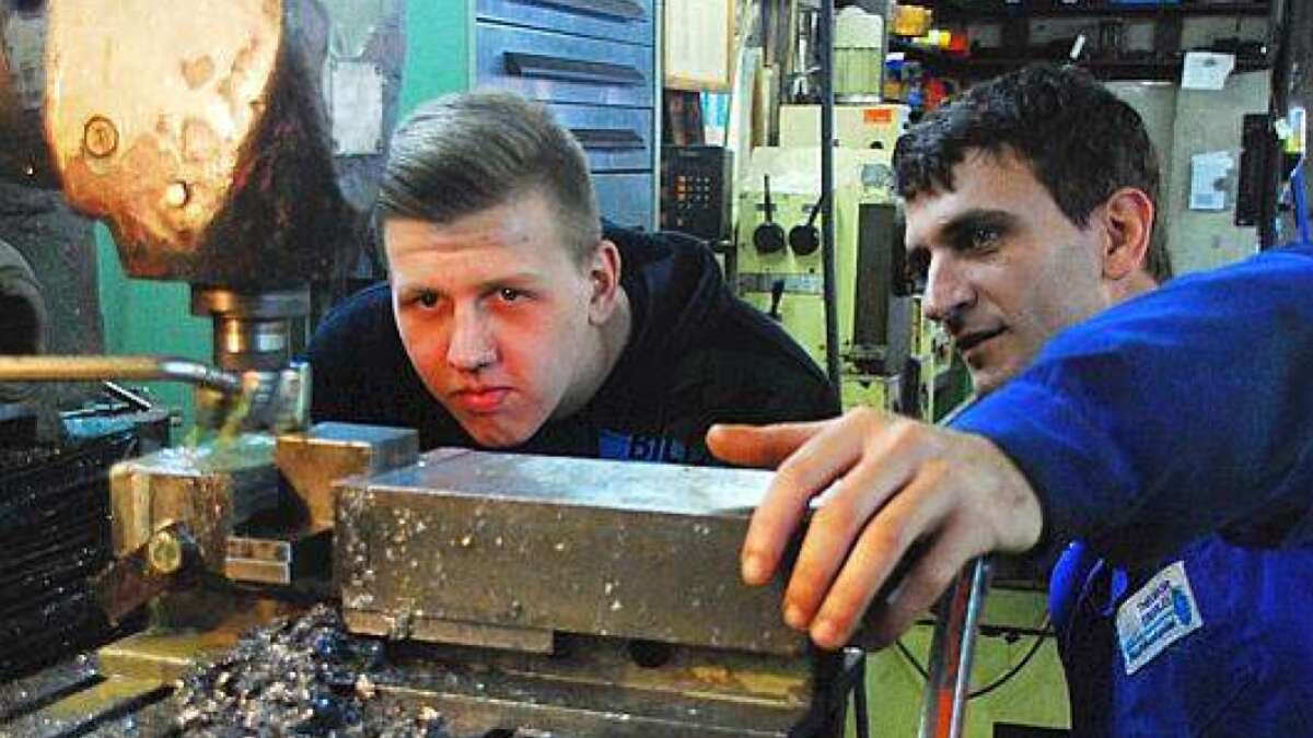 Erster Einblick in die Arbeitswelt