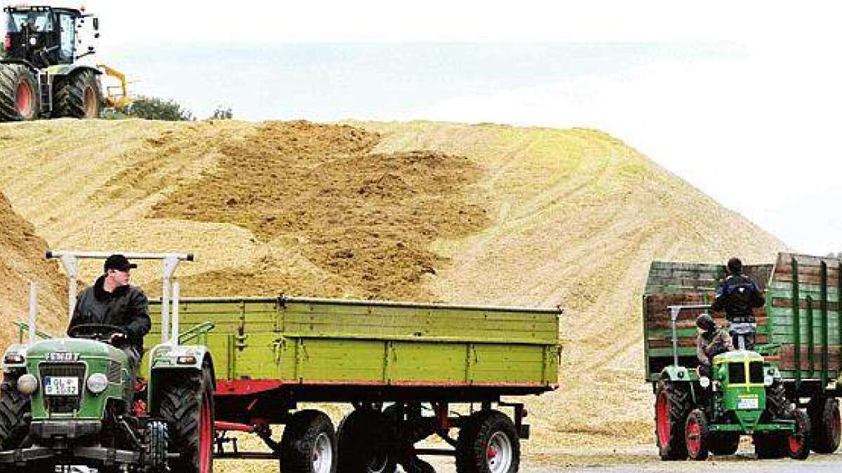 Trecker-Veteranen helfen bei Mais-Ernte