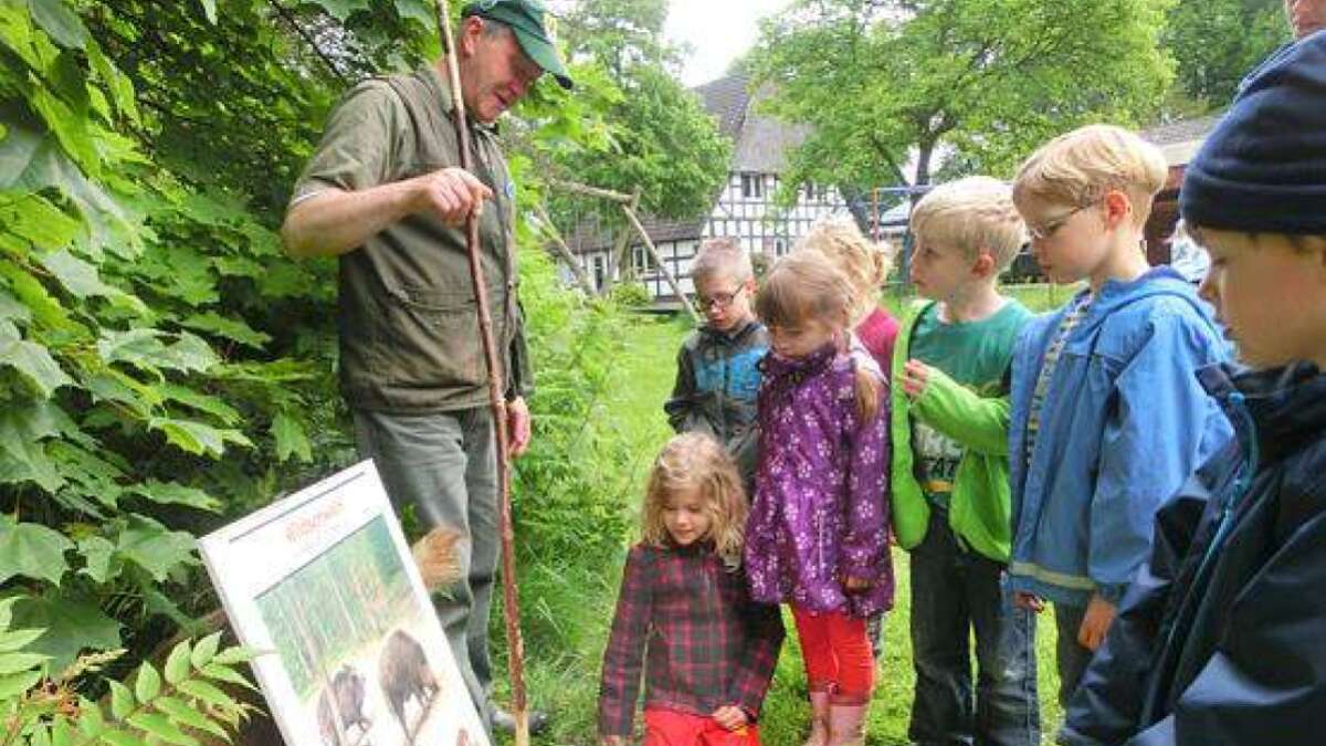 Wo Dachs und Fuchs zusammen wohnen