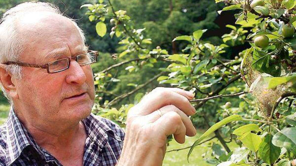 „Ich möchte Leute vor Maden und Nestern warnen“