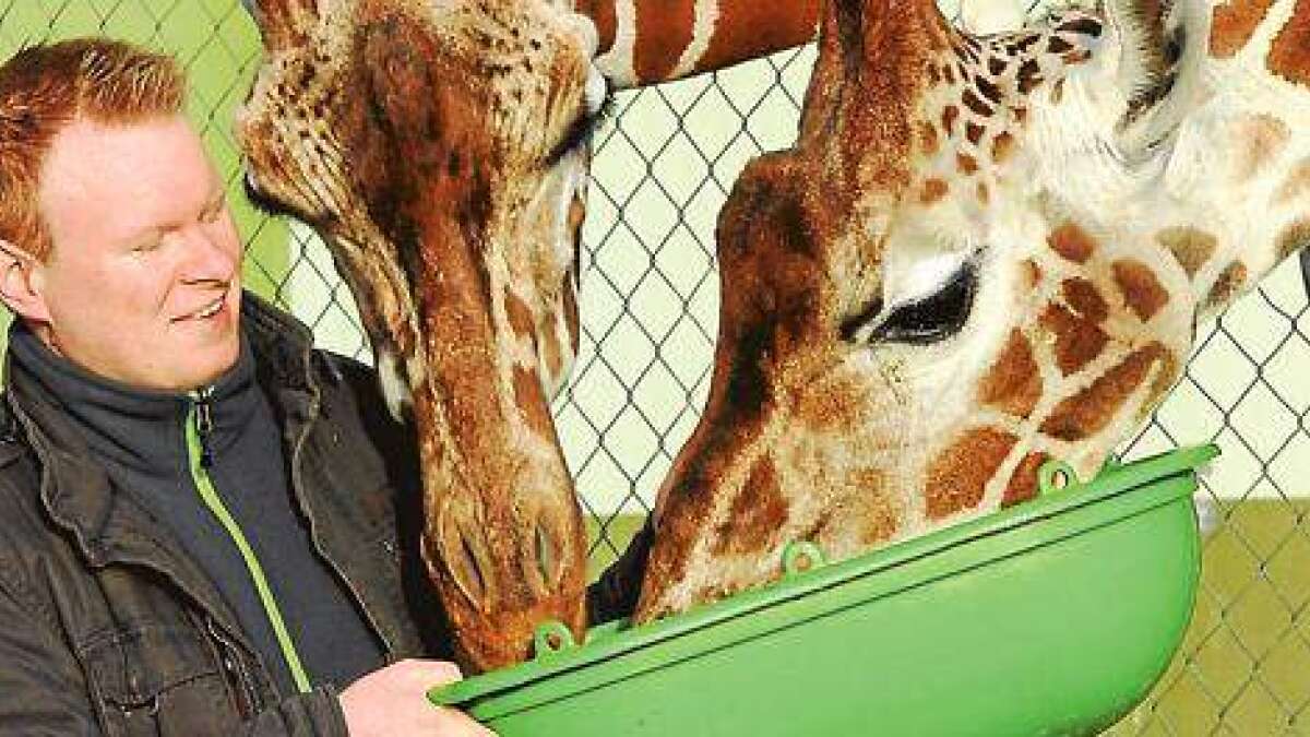 Jaderpark beendet Sommersaison