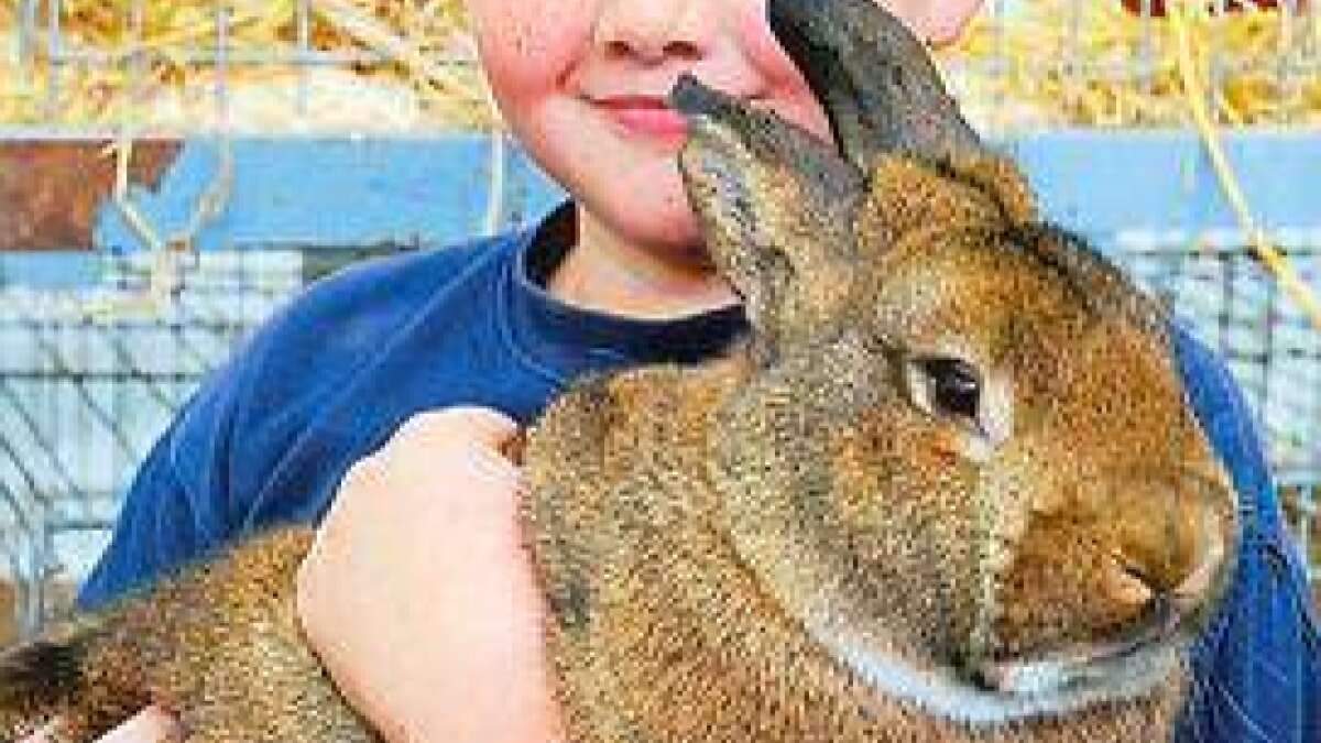 Nachwuchs schlägt alte Hasen