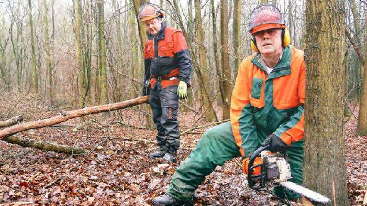 Hier sollen 5000 Eichen fallen