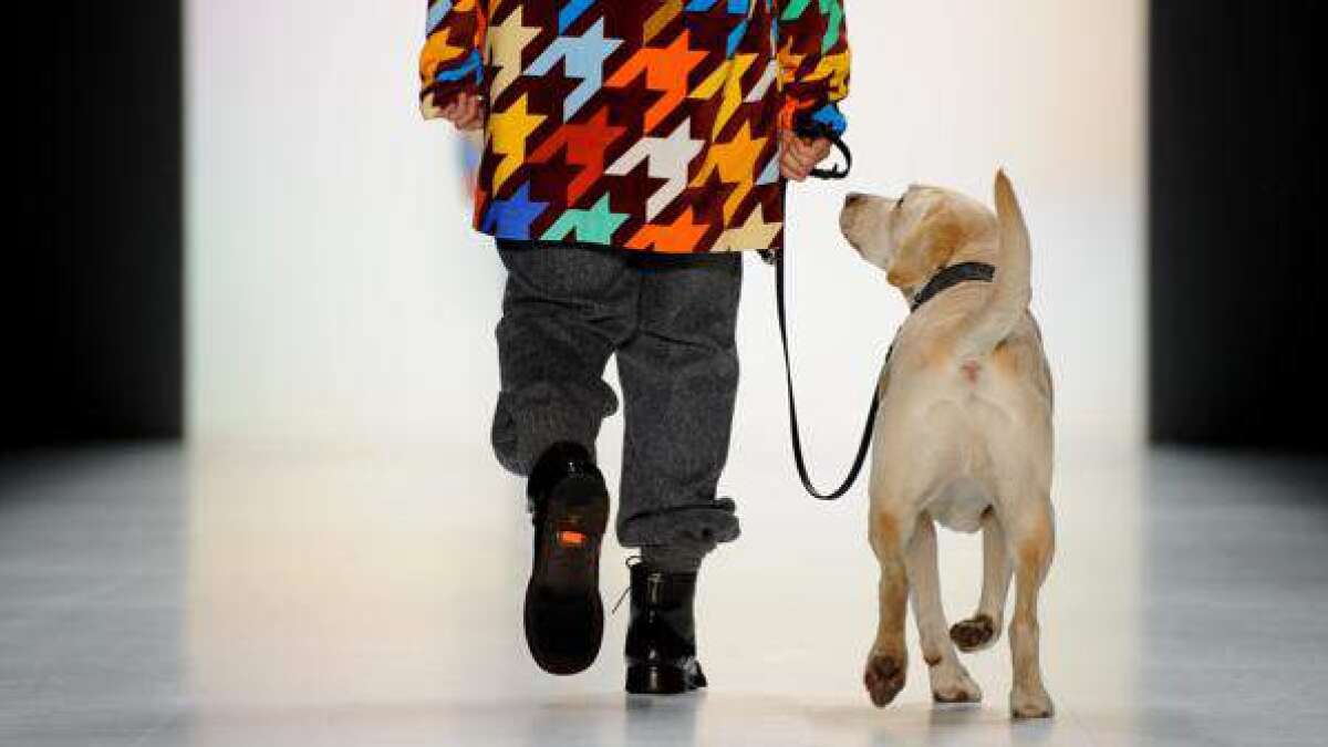 Hunde im Dienst der Mode