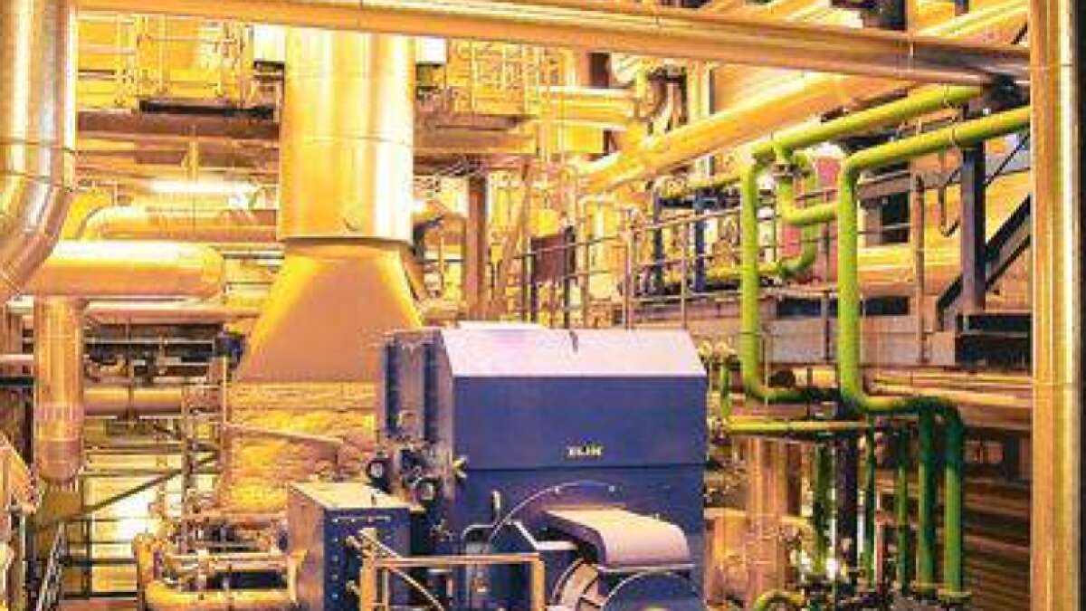 Grüner Strom aus Biomasse