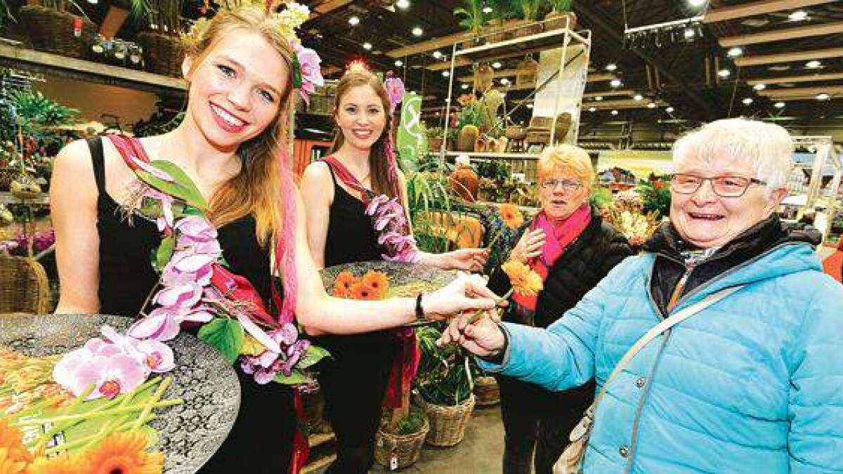 Naturfreunde blühen auf