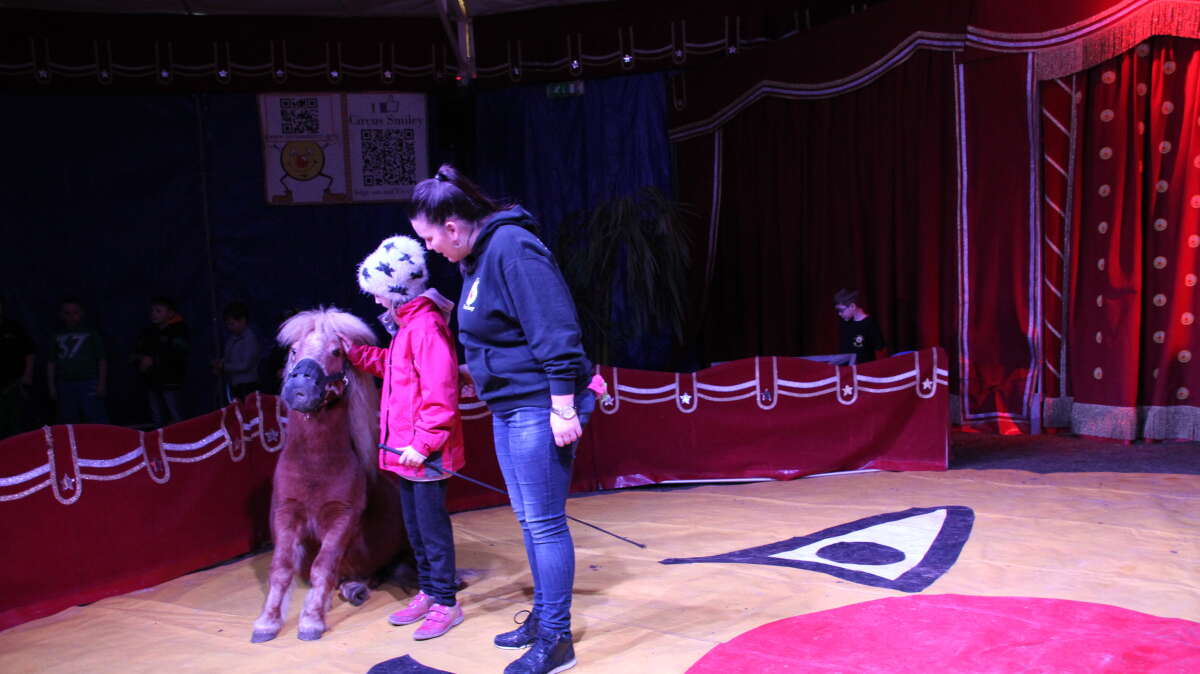 Circus Smiley in Wildeshausen