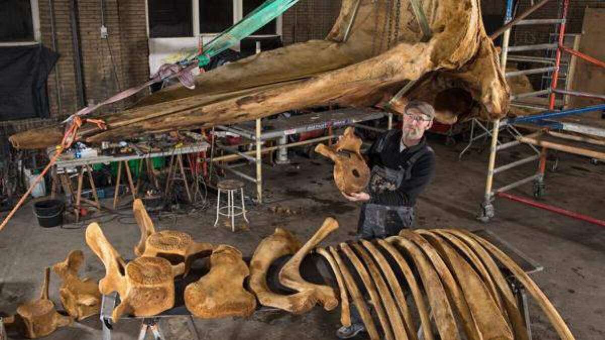 Der Mann und der Wal von Wangerooge