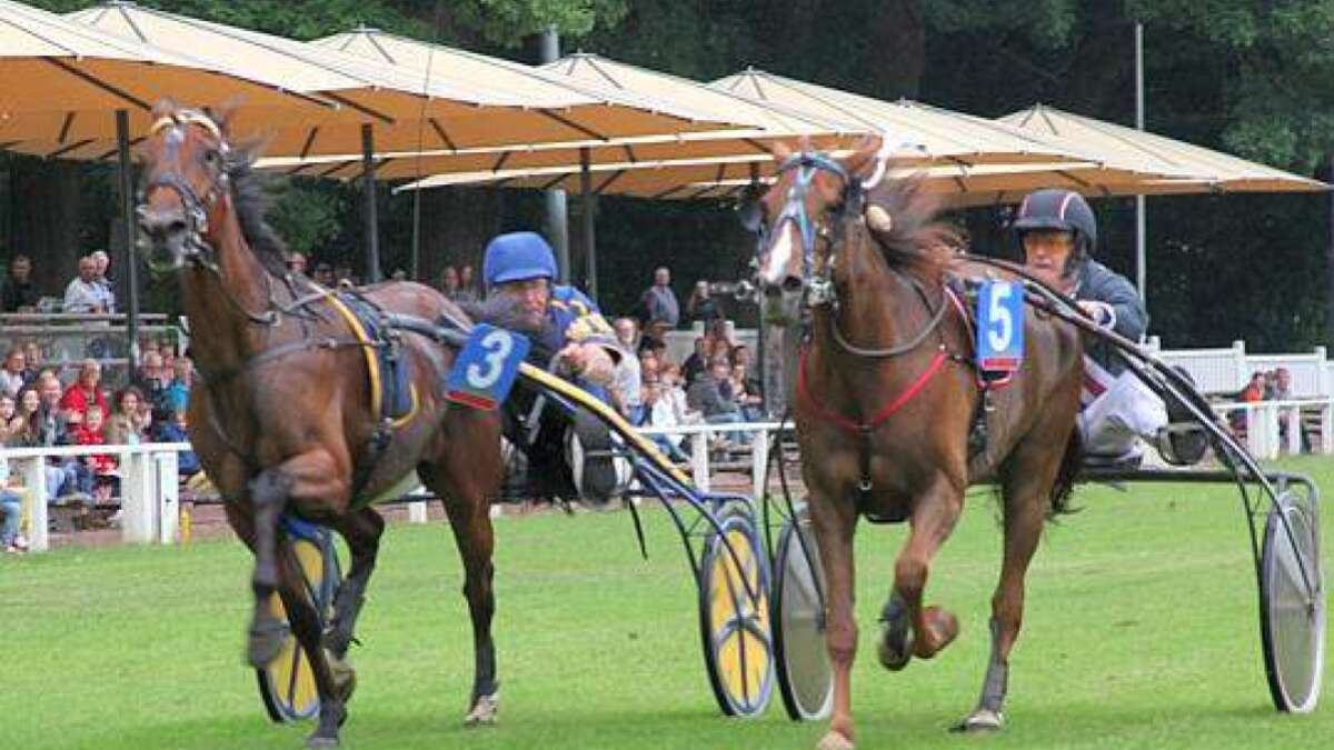 Wie die Reiter den Park eroberten