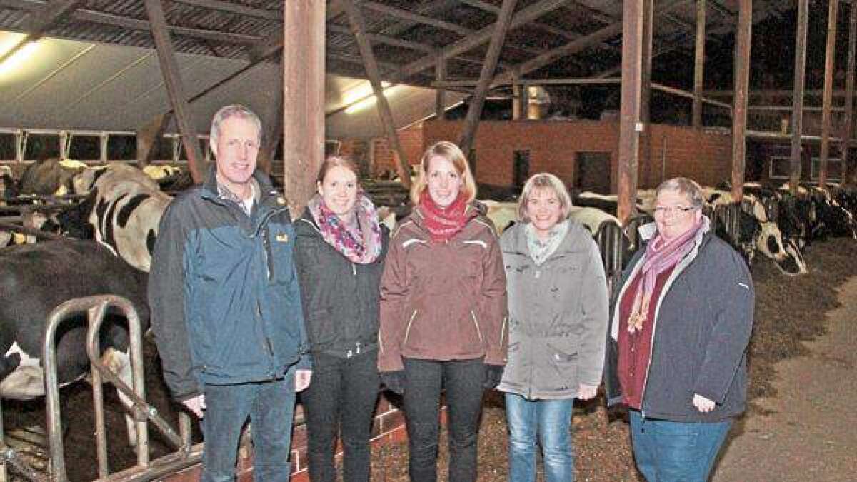 Und die Kühe bilden ein Spalier