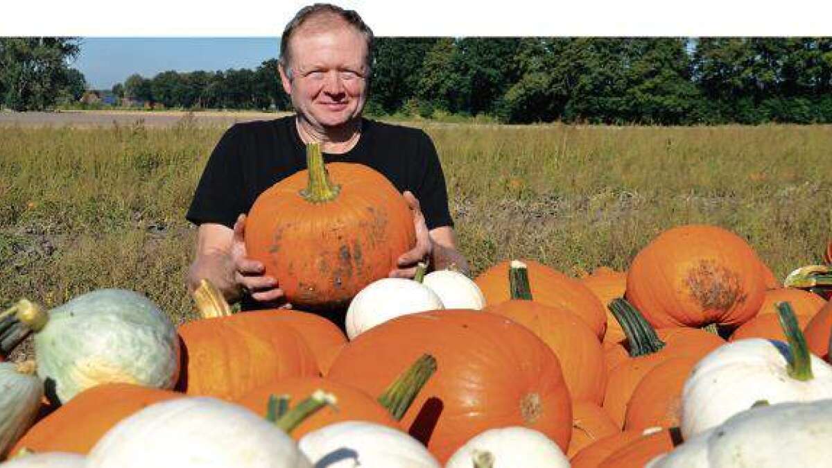 Verwunderlich Kürbis Tom Fox Bilder