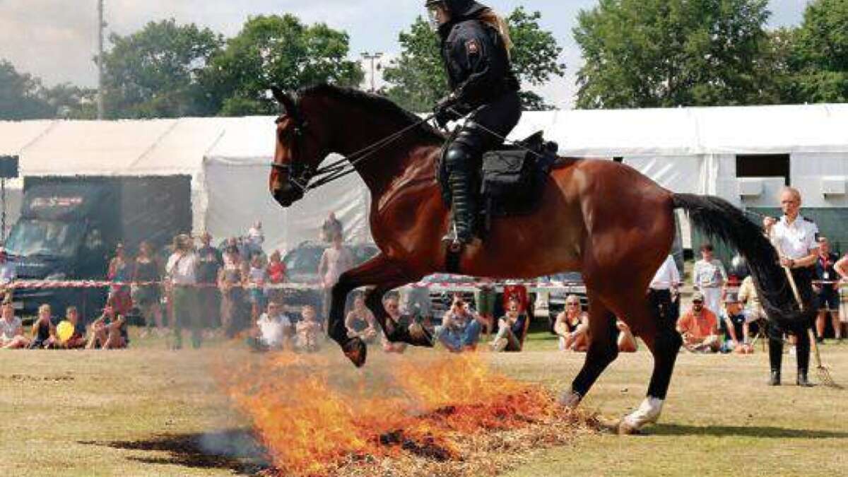 Heißer Ritt durchs Feuer