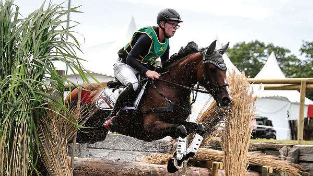 Linus Richter gewinnt L-Vielseitigkeit