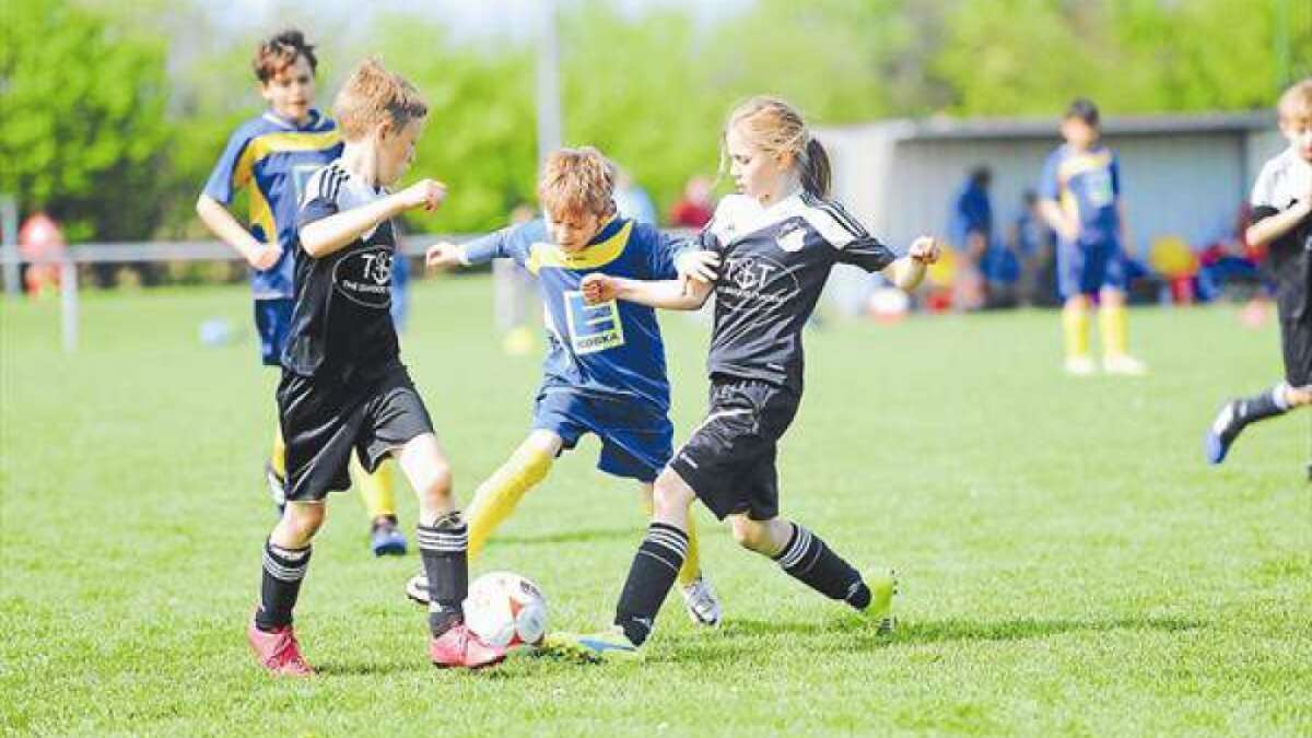 Europas größtes Sichtungsturnier in Isums