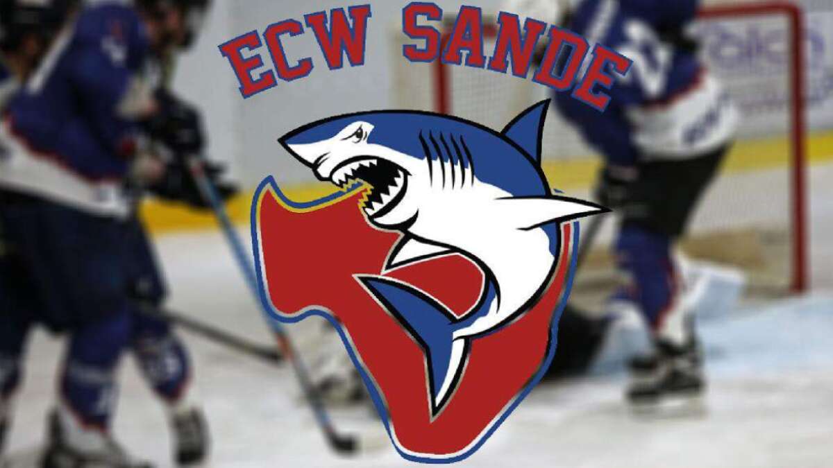 ECW Sande: Saitz kündigt Zugänge an