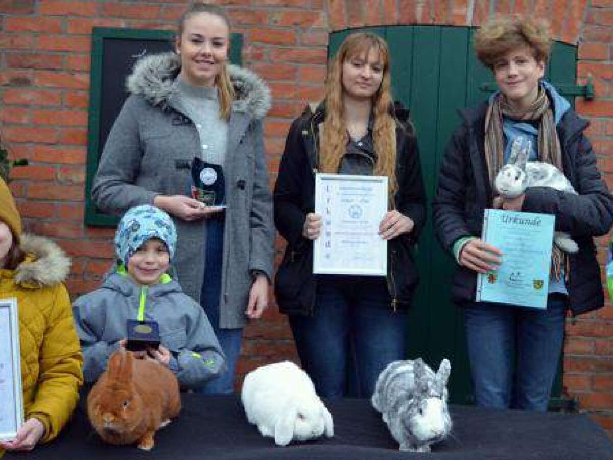 Kaninchen aus Wardenburg sind ausgezeichnet