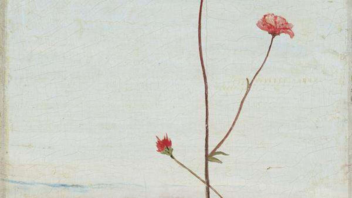 Heimatlose Bilder kehren nach Hause zurück