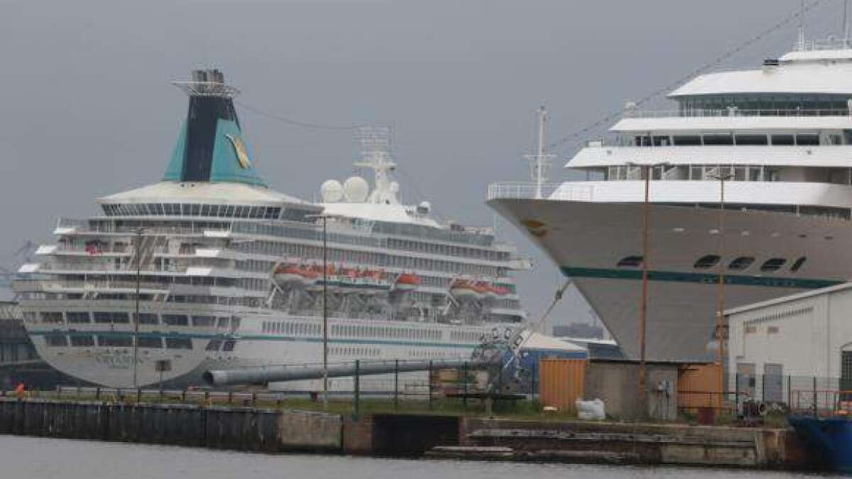 Bremerhaven: Kreuzfahrtschiffe Amadea, Artania, Grand Lady, Mein Schiff ...