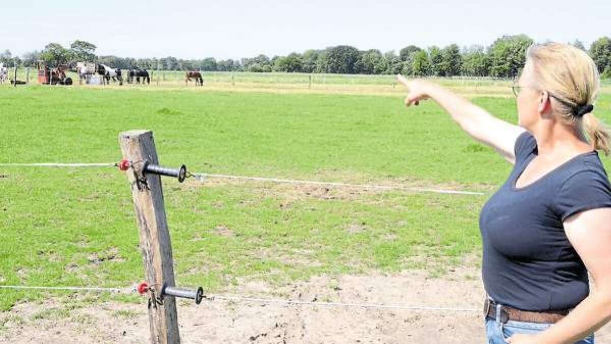 Wybe Volger in ständiger Angst um die Pferde