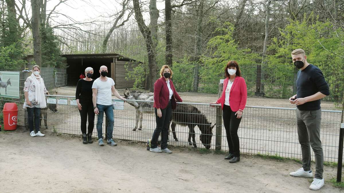 Wild- und Freizeitpark Ostrittrum: Testzentrum vor Park anvisiert