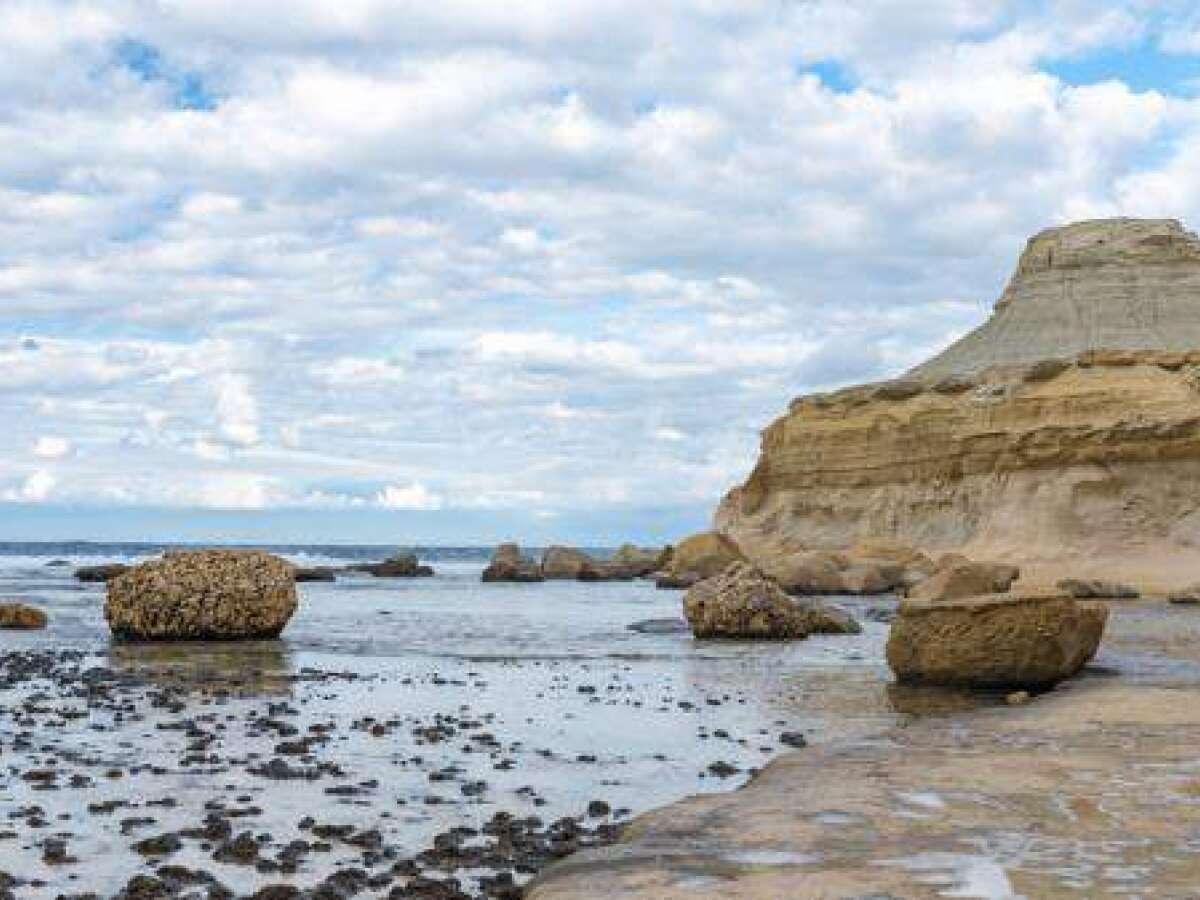 Neue Details im Fall des mysteriösen Todes auf Malta – Corona-Probleme ...