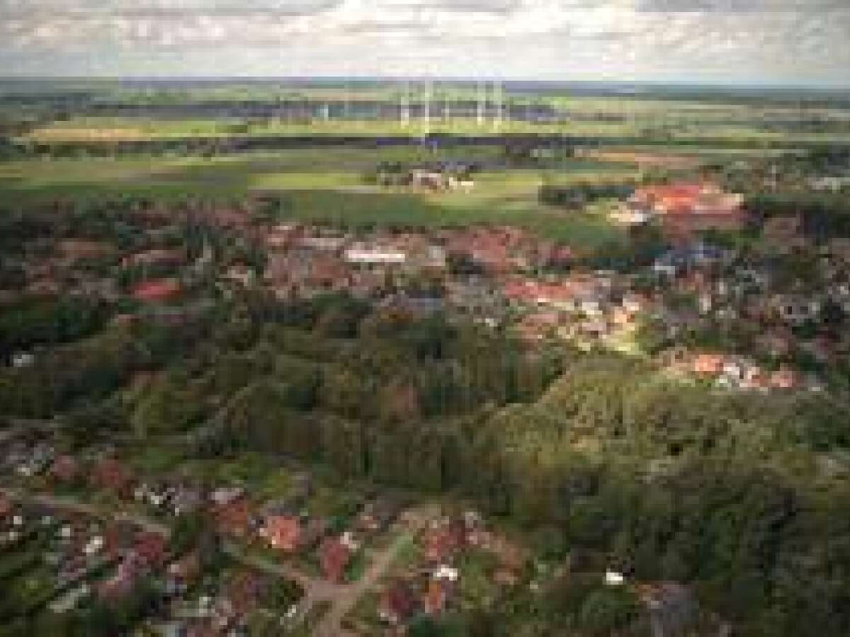 Wäldchen in Sande: Naturschutzbehörde Friesland erklärt es zum Wald