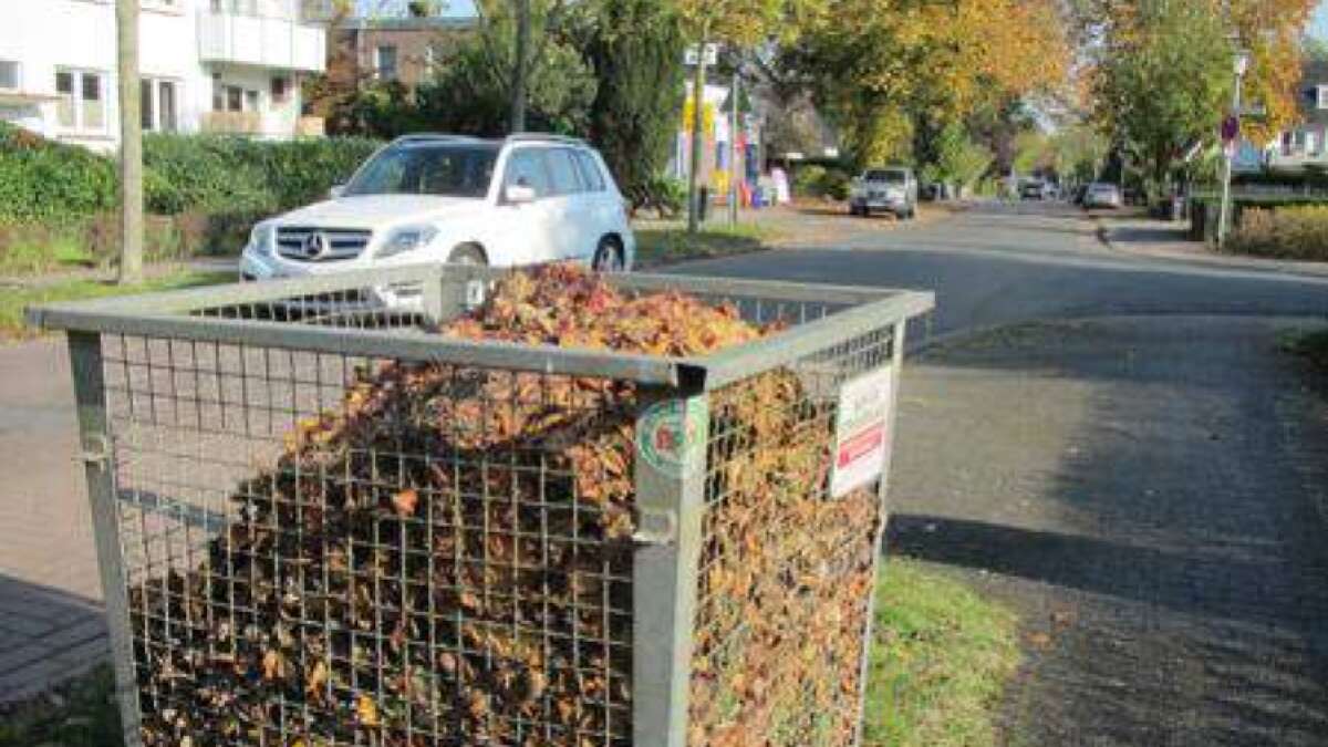 Kostenlose Laub-Entsorgung und 1000 Sammelkörbe