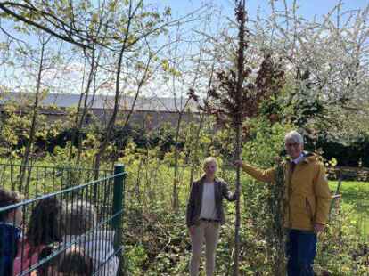 Kita Braker Butjer pflanzt „Baum des Jahres 2022“