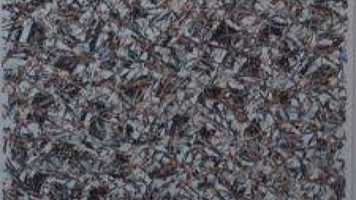 Künstlerin Anne Dück-von Essen zeigt Bilder