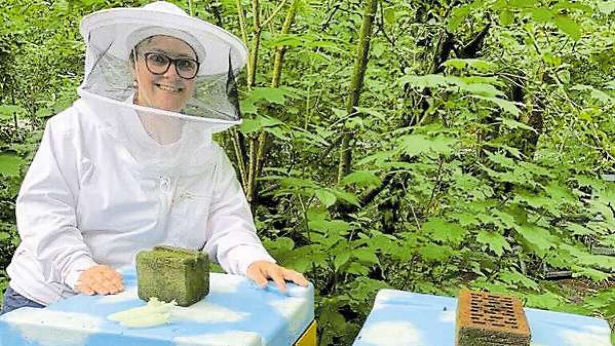 Imkerin Lea Honig über die unterschiedlichen Größen der Völker, ihre ...
