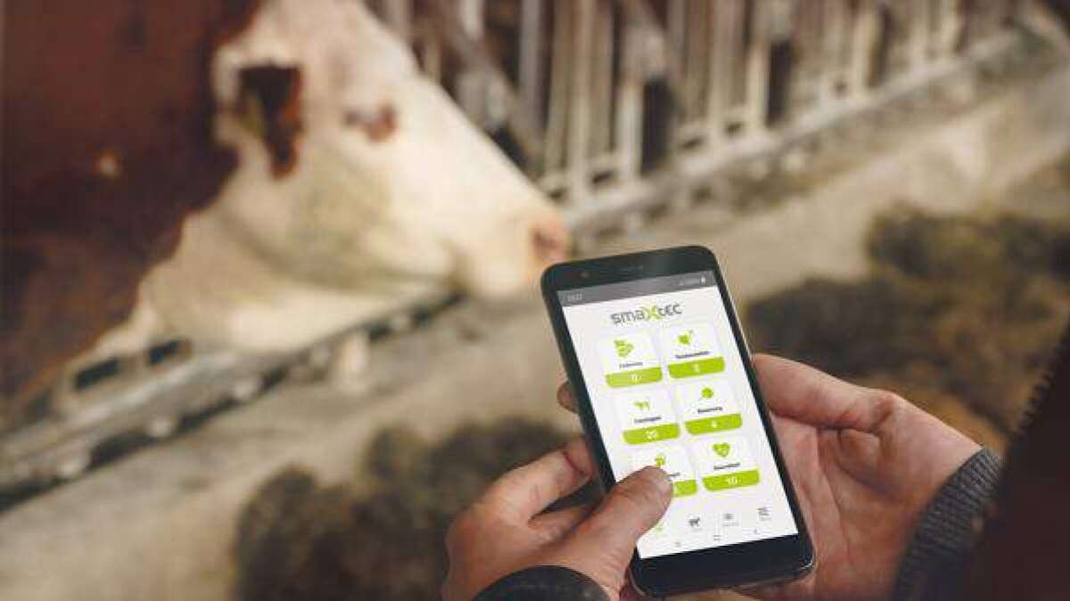 So wertvoll ist die Super-Technik im Pansen für Landwirte und Kühe