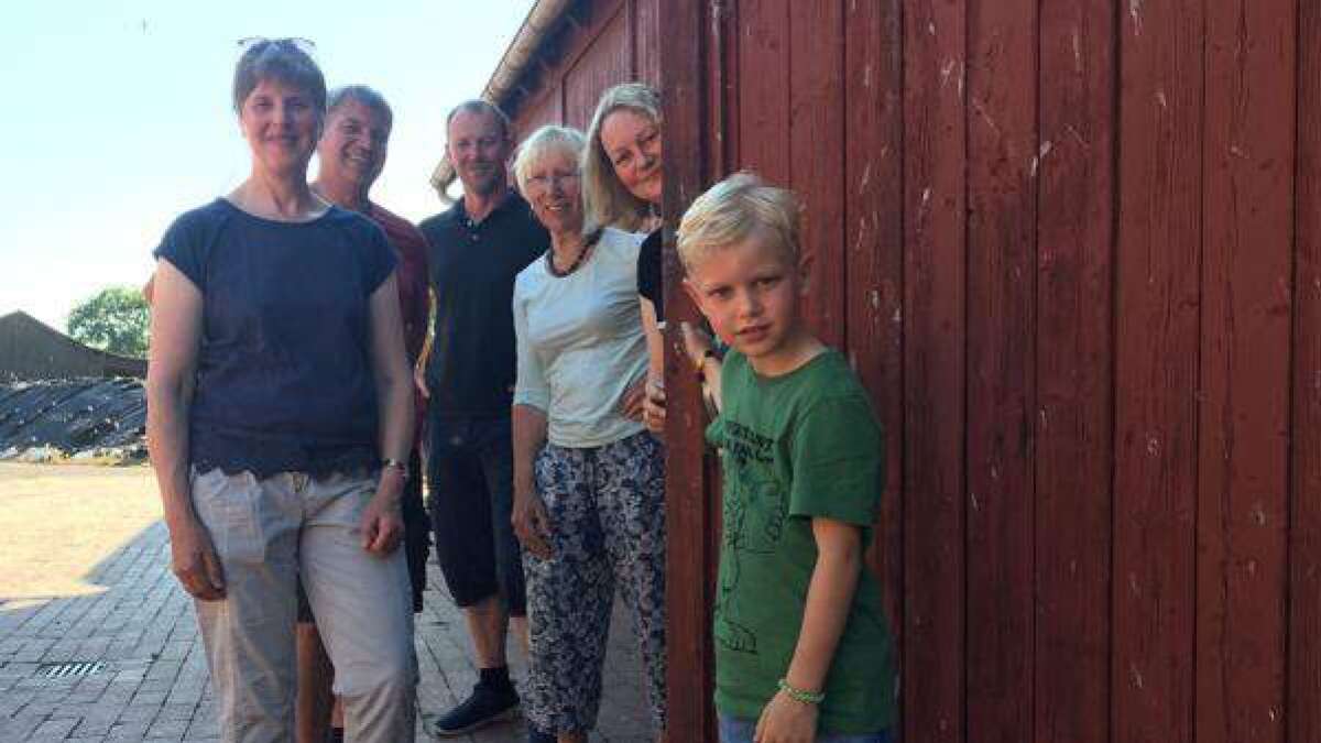 Noch drei Sommerfilme im Programm