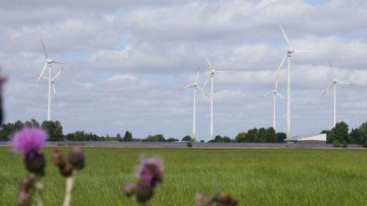 Edewechts Strom soll grün werden