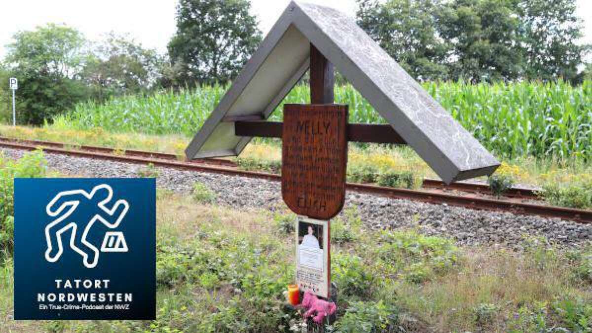 Wie Nellys Mörder per Massen-Gentest überführt wurde