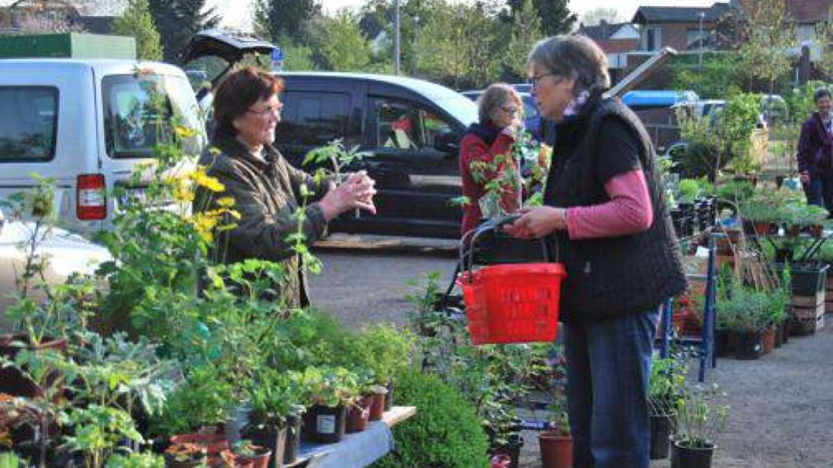 Staudenflohmarkt auf dem Huder Schützenplatz